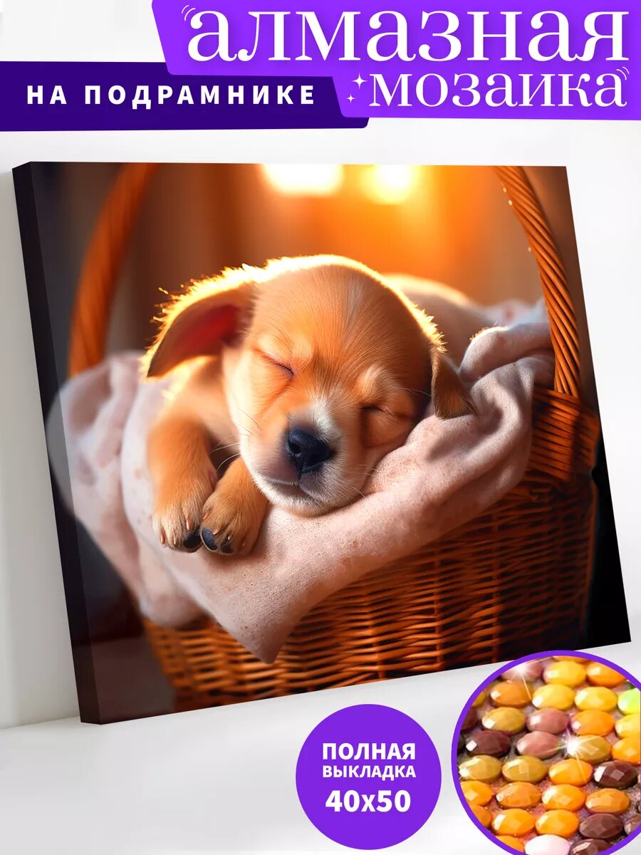 Алмазная мозаика на подрамнике 40х50 см "Соня в корзинке"