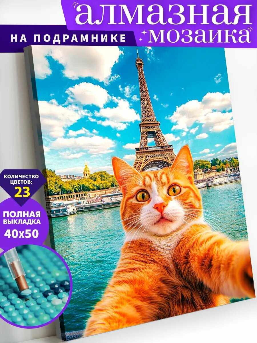 Алмазная мозаика на подрамнике 40х50 см "Селфи в Париже"
