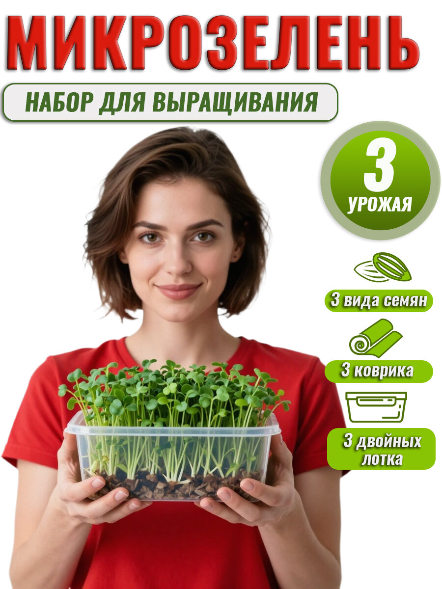 Набор для выращивания микрозелени, 3 урожая: Горох, Базилик, Редис