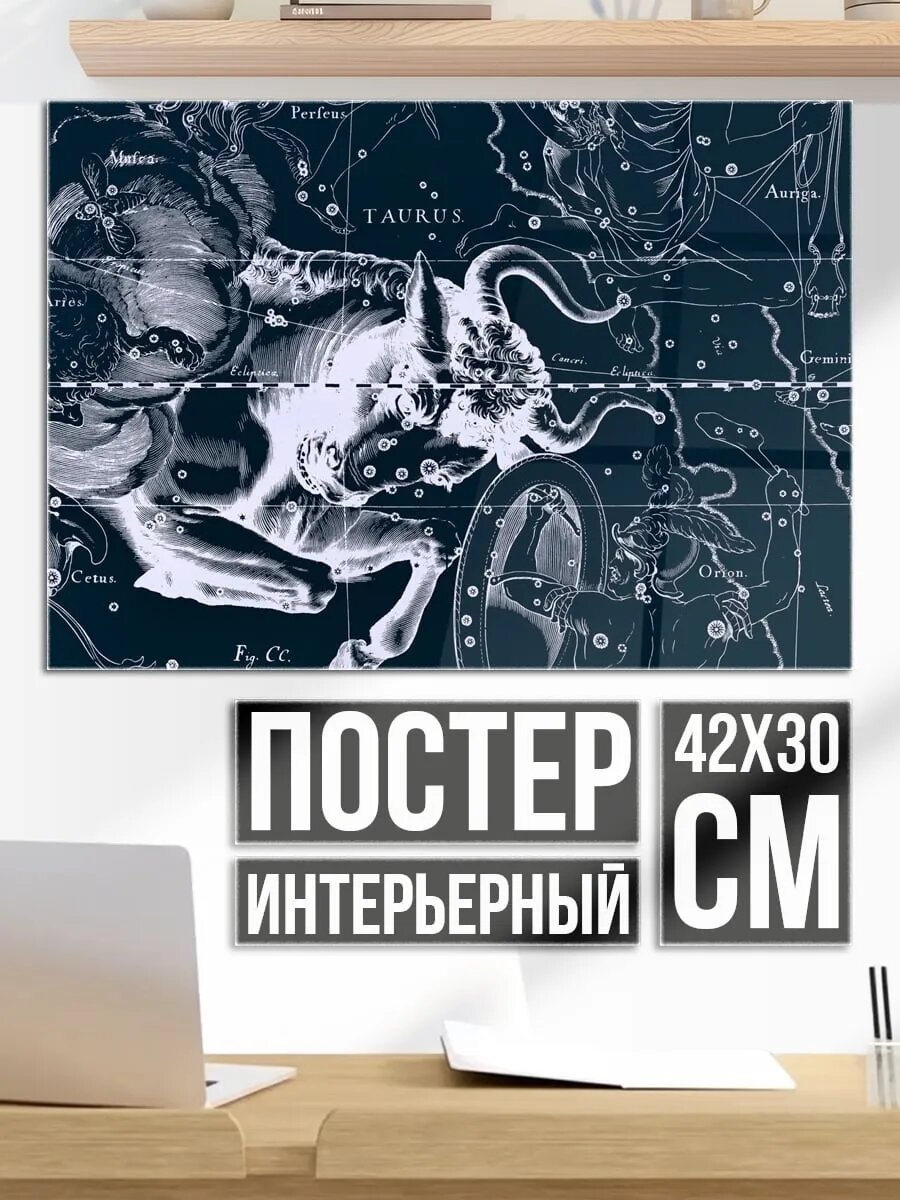 Плакат постер Созвездие Телец