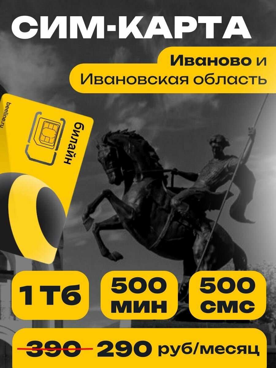 Сим-карта Билайн тариф Эксклюзивный Онлайн Лайт Ивановская область 1024 Гб + 500 минут за 290 руб.