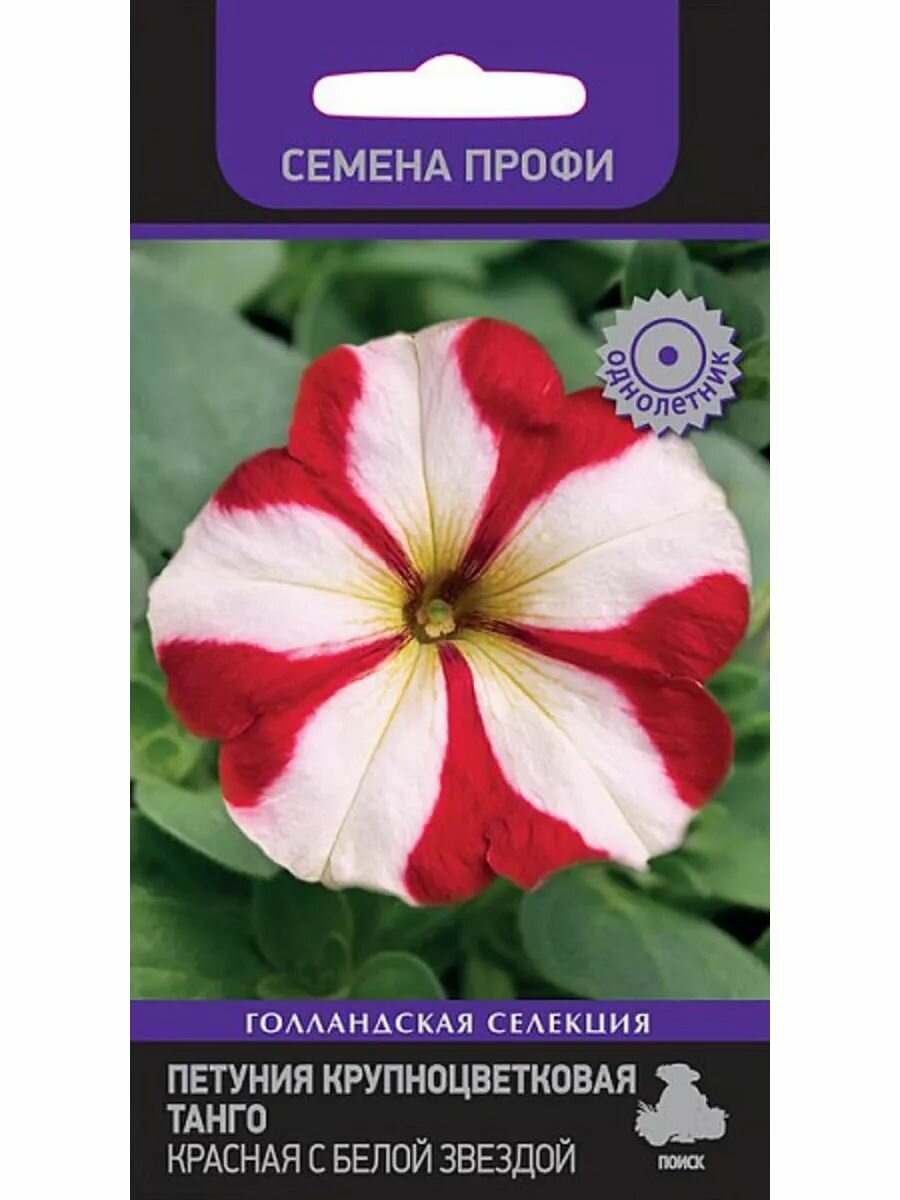 Петуния крупноцветковая Танго Красная с белой звездой, 15 шт
