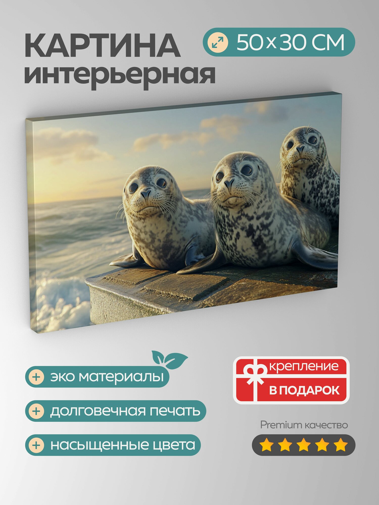 Картина на холсте интерьерная 50х30 см, Тюлени, океан, шерсть, солнце, море, отдых, крыша, спокойствие, природа, момент