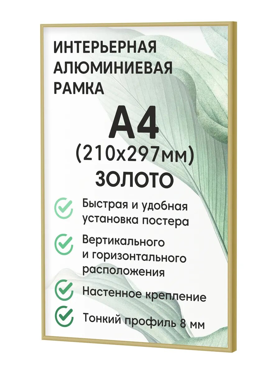 Фоторамка "ALTIRO", алюминий, для постеров, 21 см x 29,7 см, А4