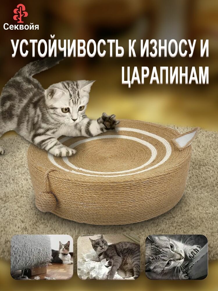 Когтеточка — фото 1