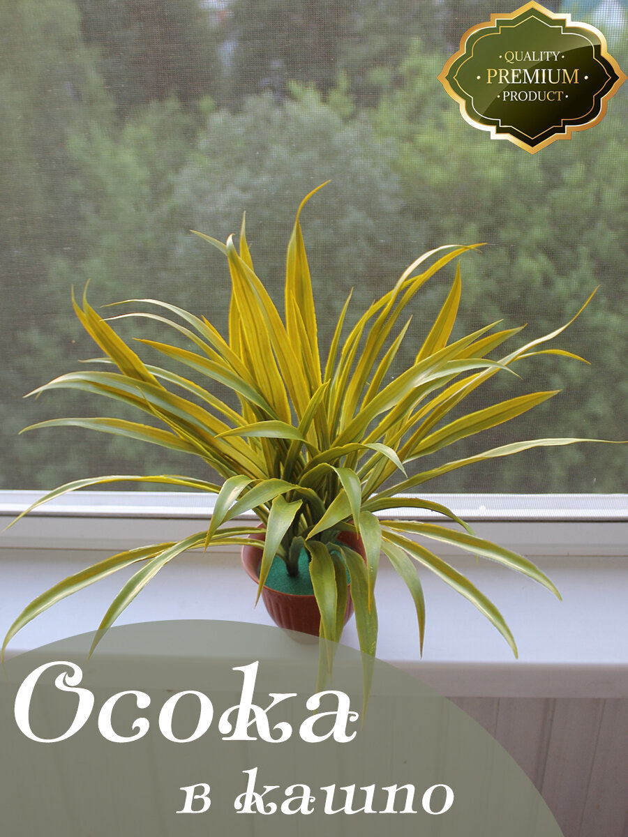 Искусственные растения осока в кашпо от бренда Holodilova