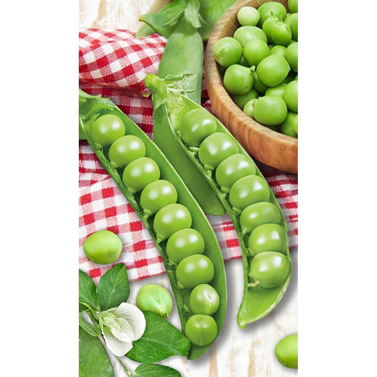 Горох Муцио 4 г Syngenta Садовита