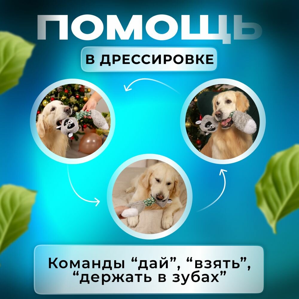 Игрушка для собак средних и крупных пород, канат для собак с пищалкой и шуршалкой Енот