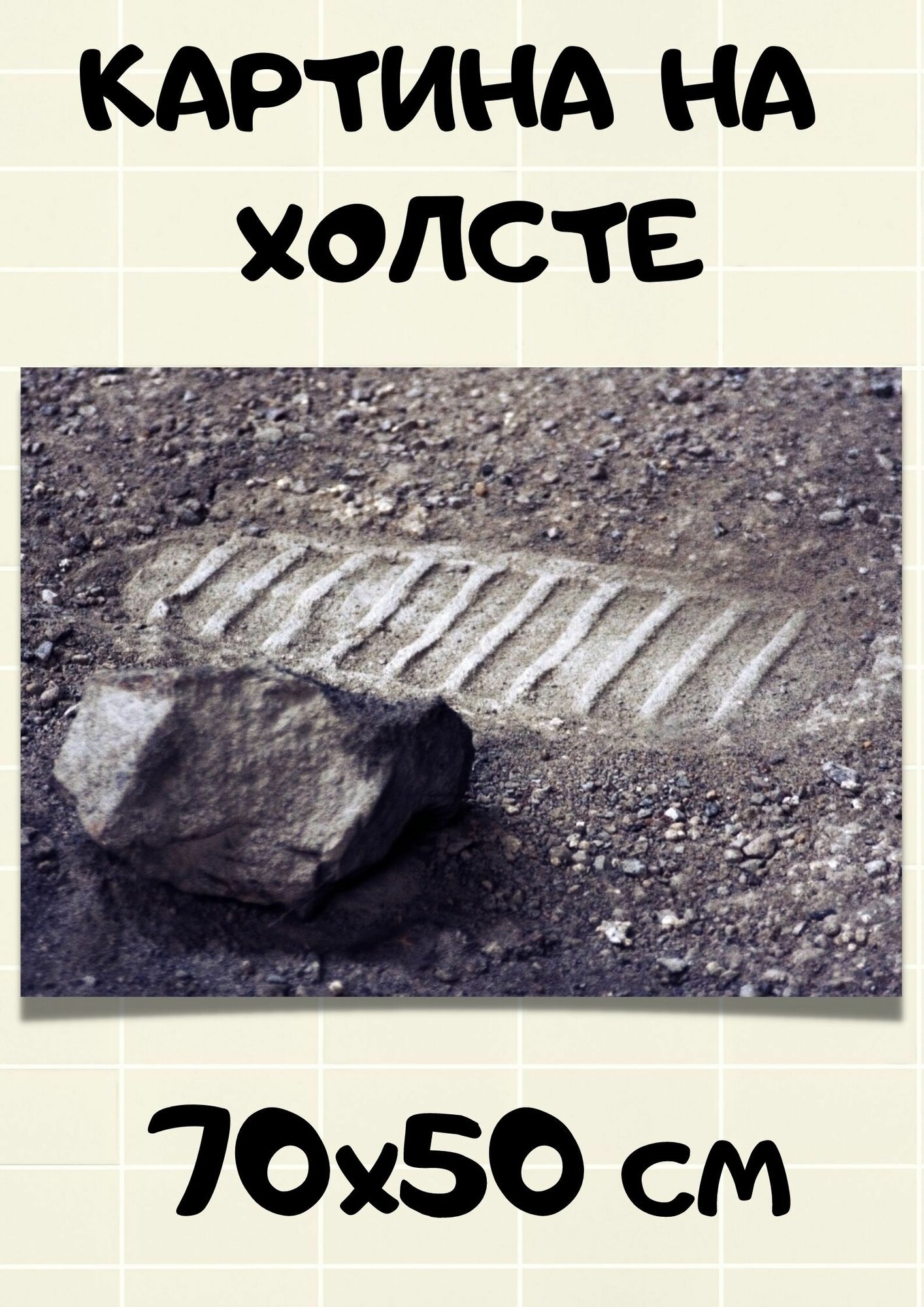 Картина Луна и месяц, спутник Земли / Фотокартина с луной в космосе на холсте