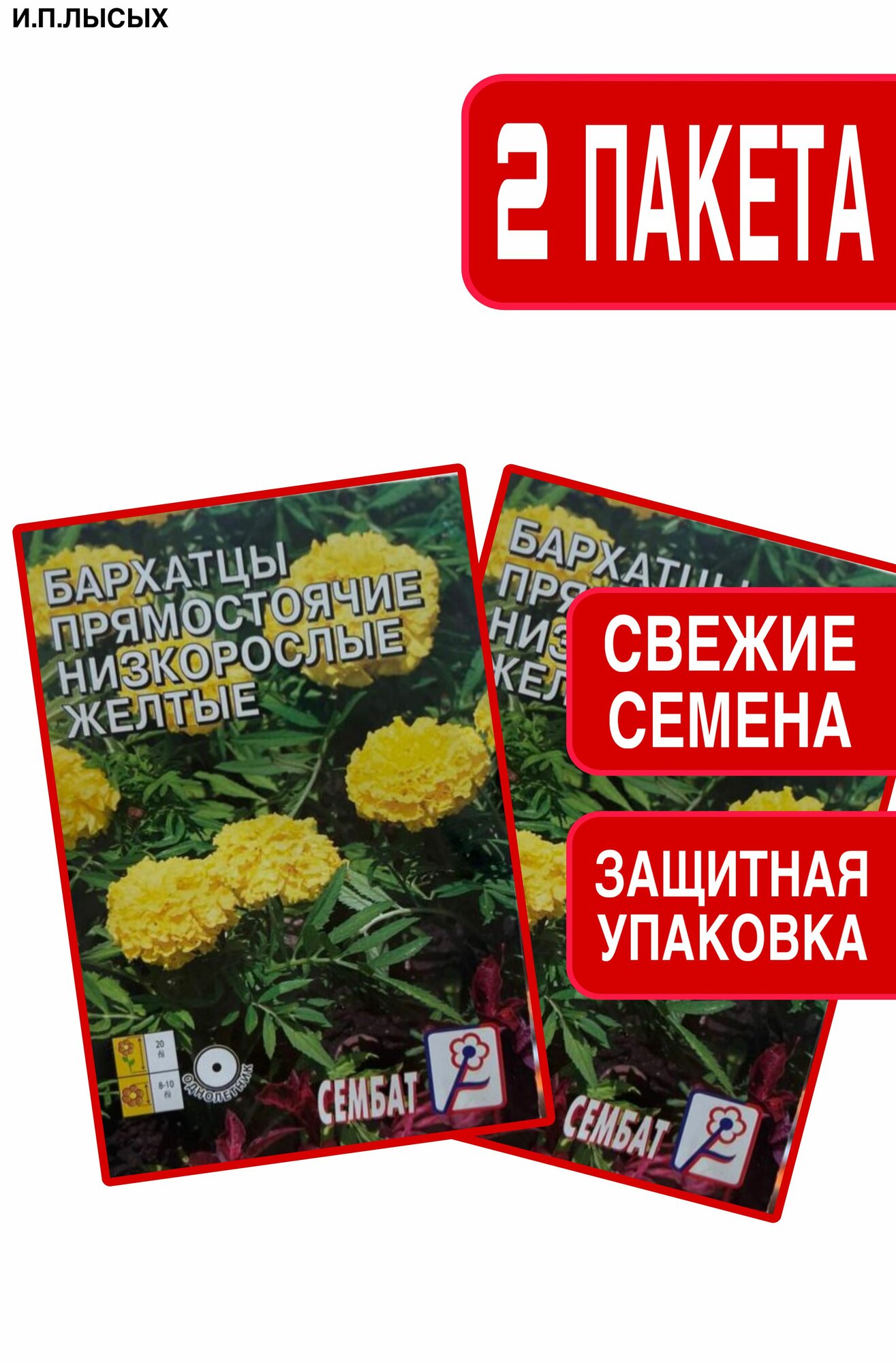 Семена Бархатцы "Низкорослые Жёлтые"