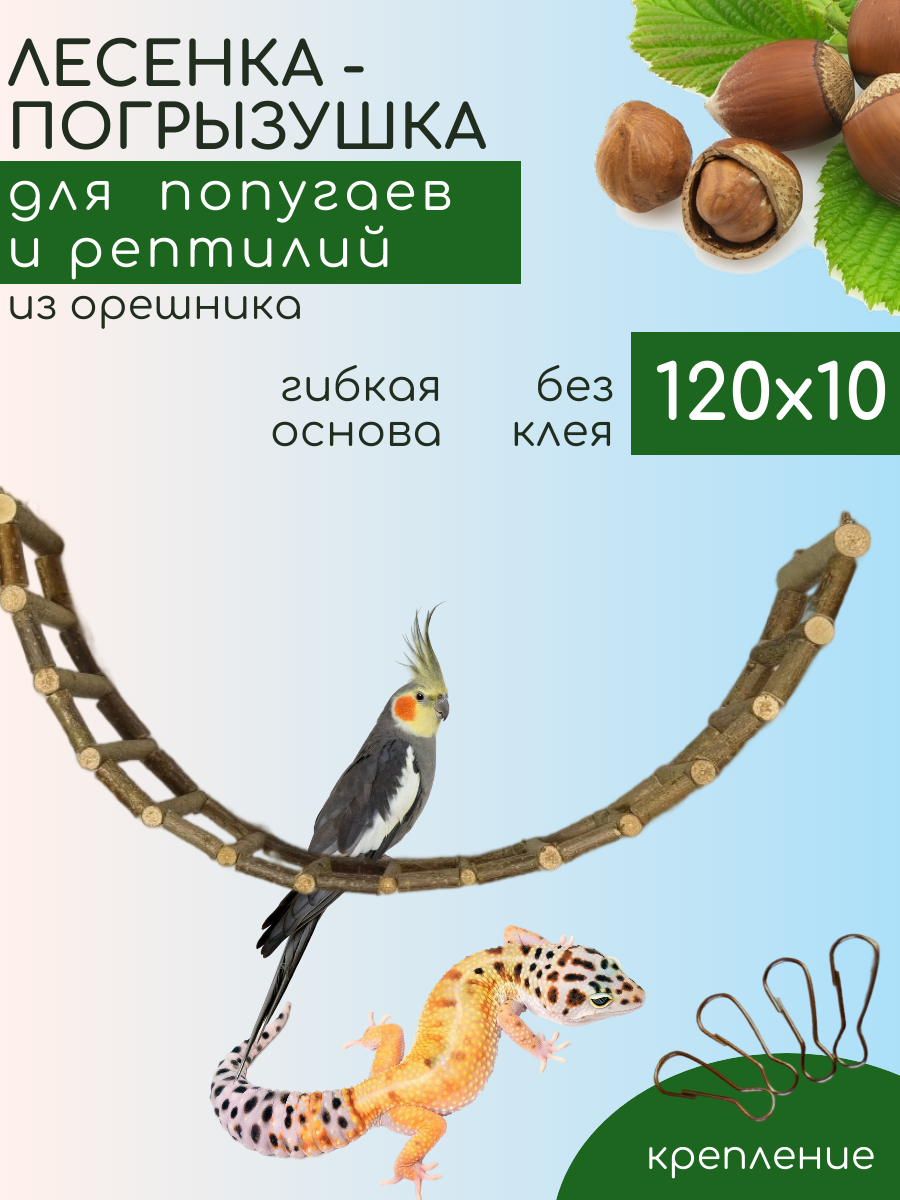 Подвесная лесенка для попугаев, дерево орешника, ручная работа, 120x10 см