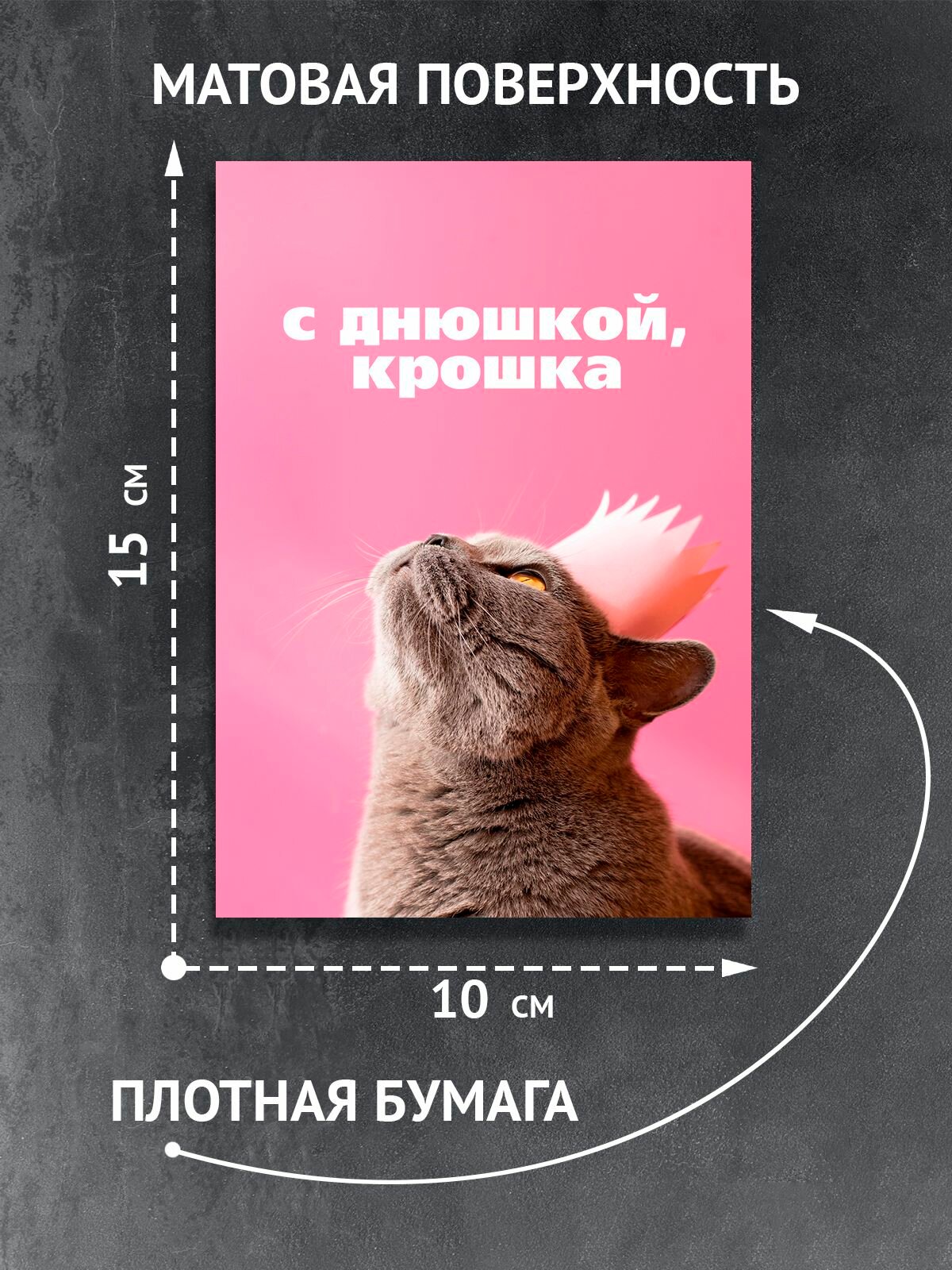 Подарочная открытка с уникальной иллюстрацией котик "С днюшкой, крошка" с днем рождения, с юбилеем