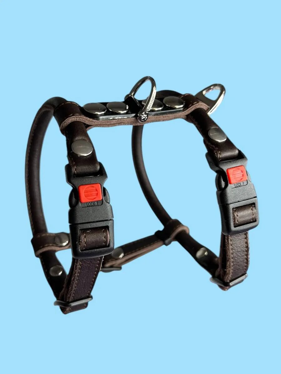 Шлейка Dogbond круглая для шпица из кожи