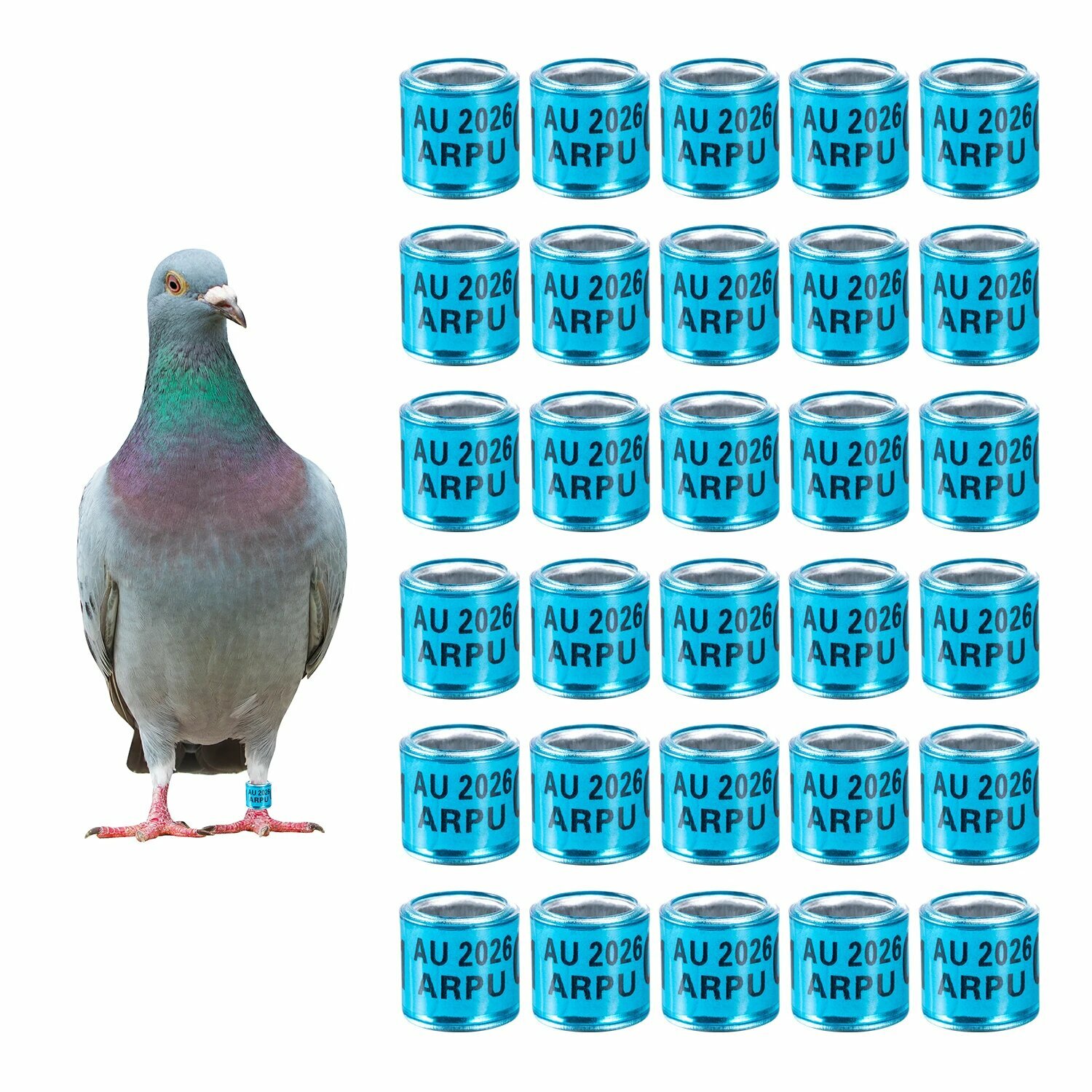 2026 Название страны Кольца для ног голубя Внутренний диаметр 8 мм Алюминиевые кольца для обучения попугаев и перепелов Птица Идентификация Кольца для ног Случайный номер 50 шт.