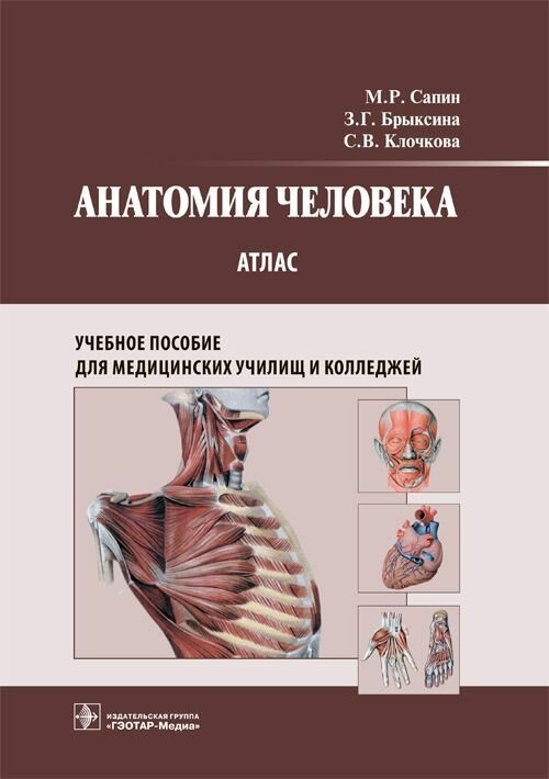 Анатомия человека : атлас : учеб. пособие для медицинских училищ и колледжей / М. Р. Сапин, З. Г. Бр