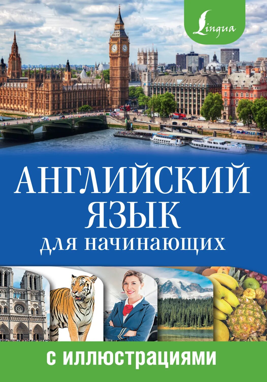 Английский язык для начинающих с иллюстрациями [Цифровая книга]