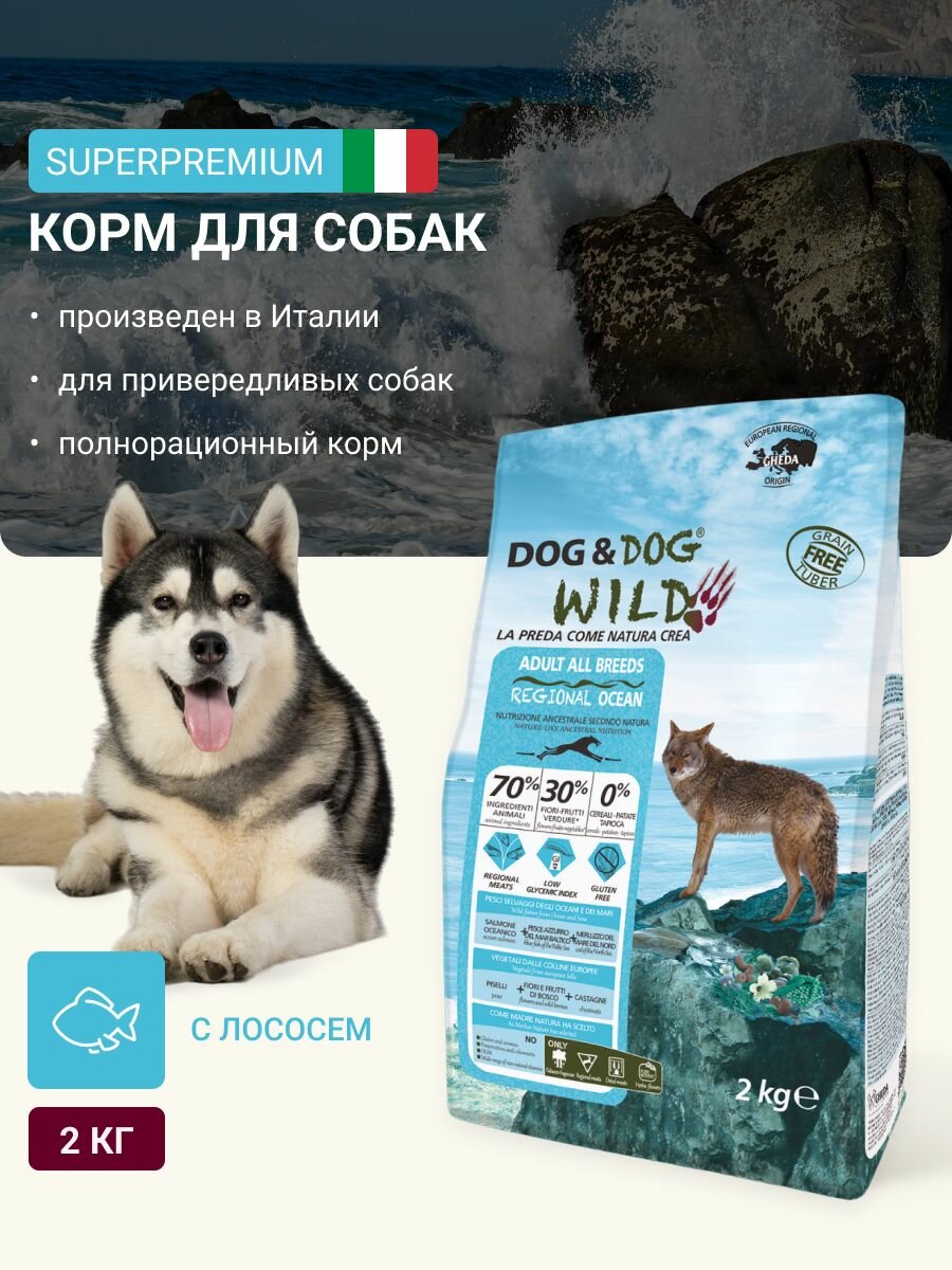 Корм для собак сухой Dog & Dog Wild Ocean, лосось 2кг (от года)