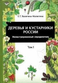 Книга "Деревья и кустарники России : иллюстрированный определитель : в 2 т."