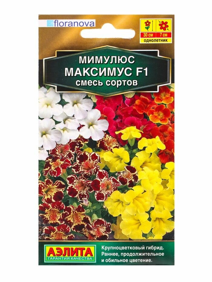 Семена цветов Мимулюс гибридный Максимус F1, смесь сортов С. Floranova , Ц/П,10 шт.