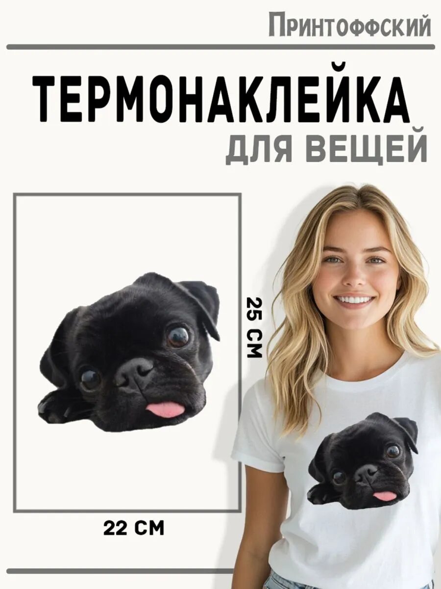 Термонаклейка для одежды и аксессуаров DTF-печать Мопс — фото 1