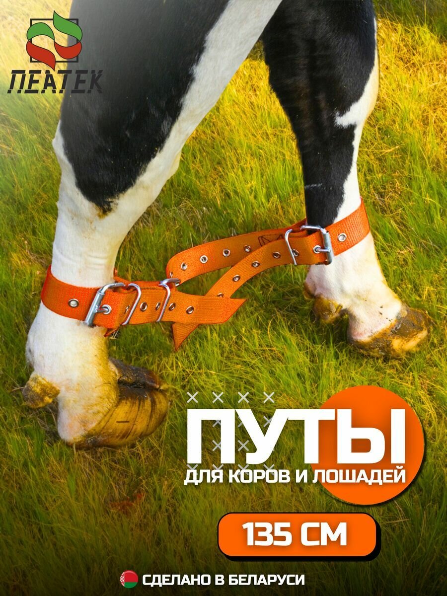 Путы для лошадей крс коров