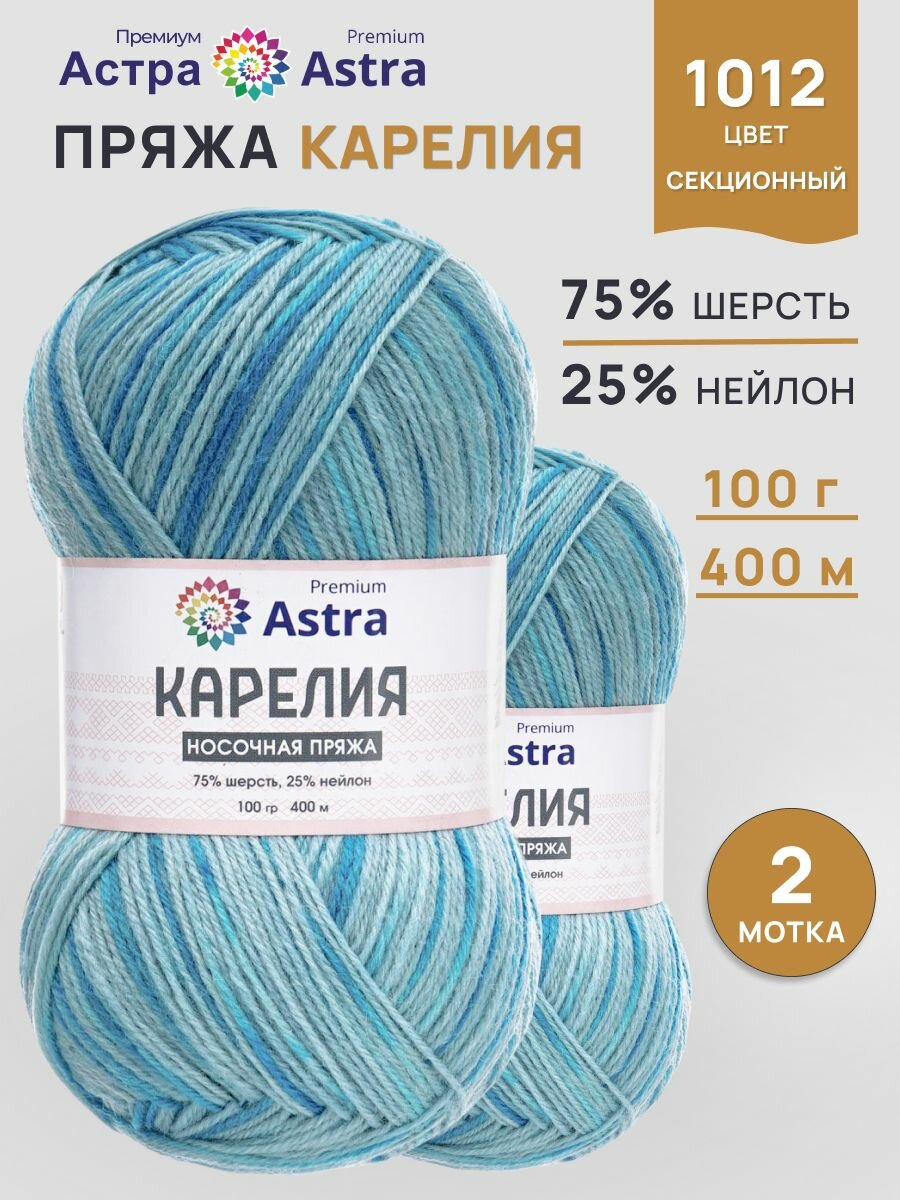Пряжа для вязания носочная Карелия, 100 г, 400 м, цвет №1012, 2 мотка