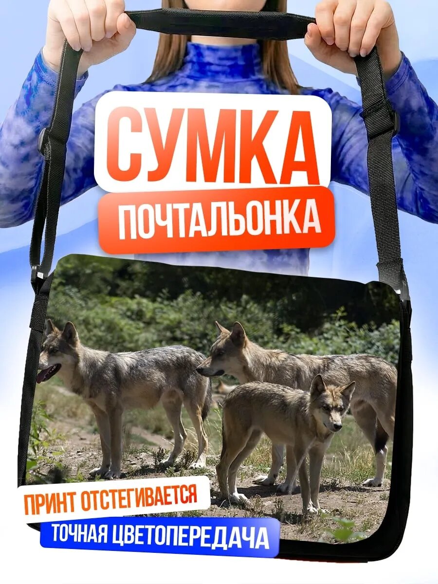 Сумка стая волков в лесу