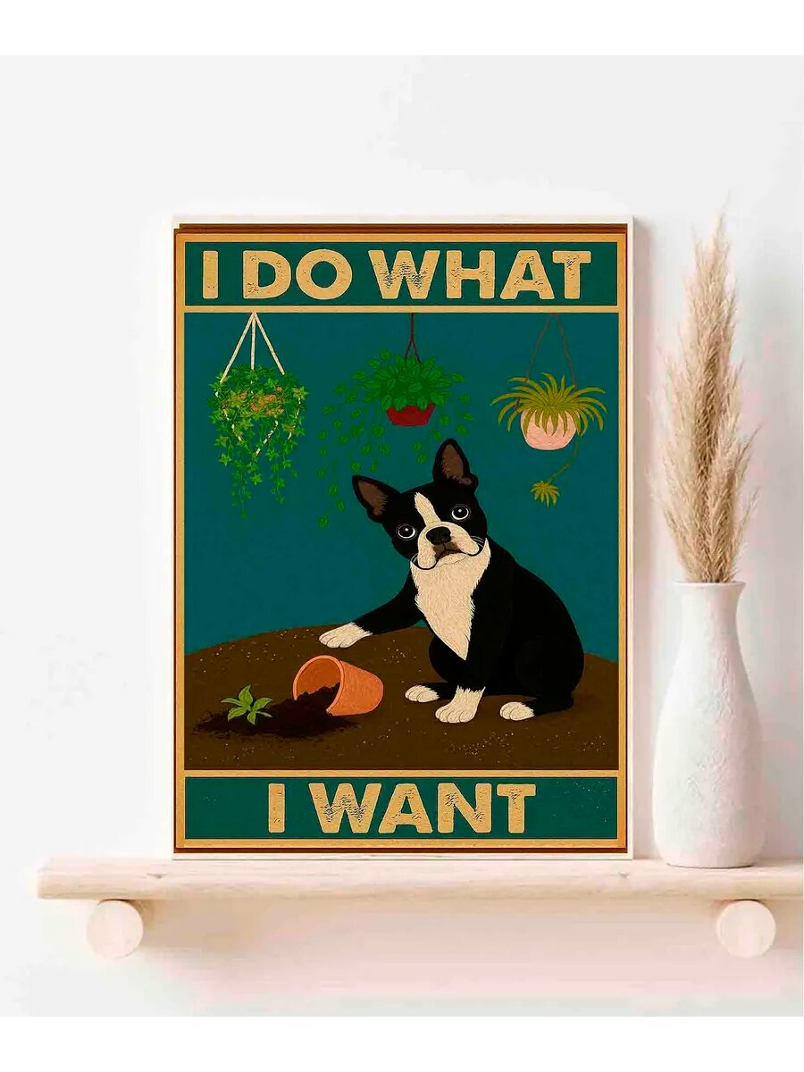 Собака породы Бостон-терьер, I Do What I Want, Плакат 30x42с