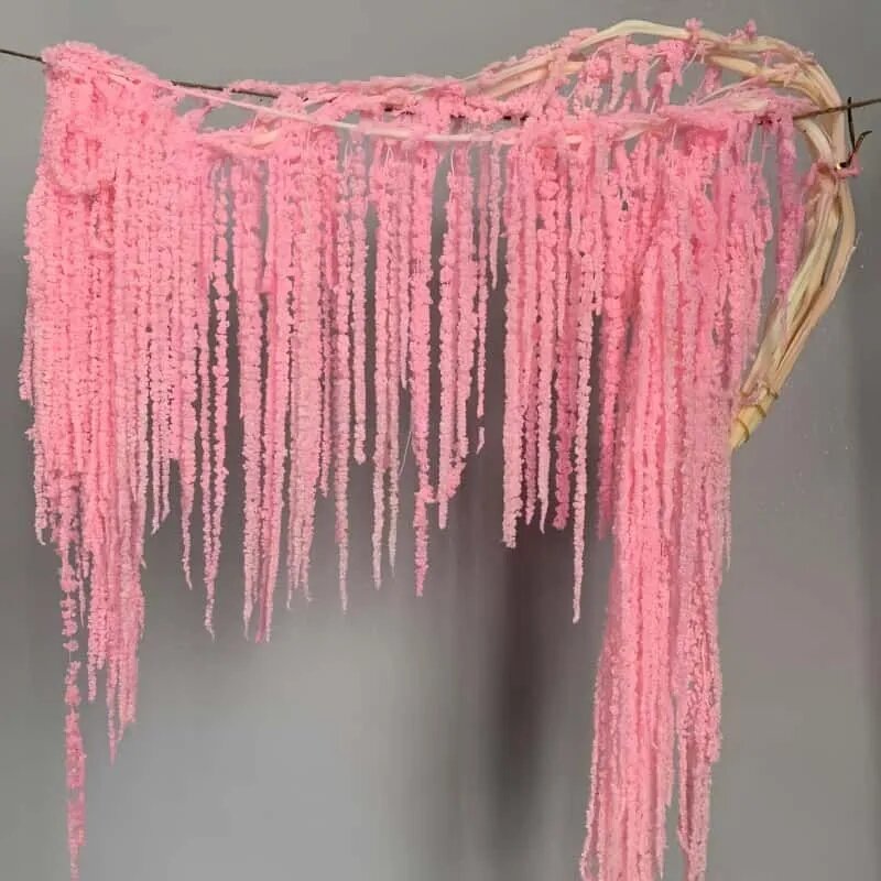 Стабилизированные цветы Амарант, 80 см, 180 гр