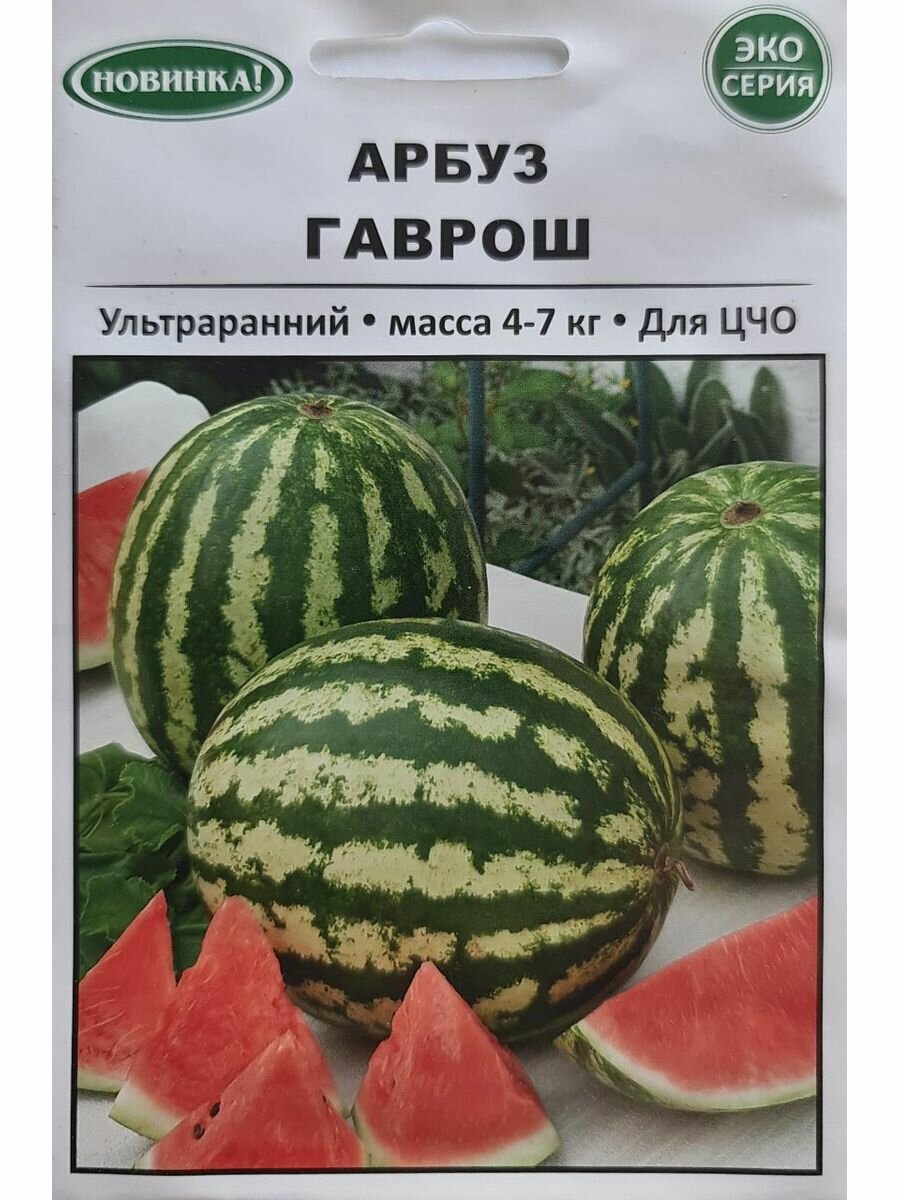 Арбуз Гаврош