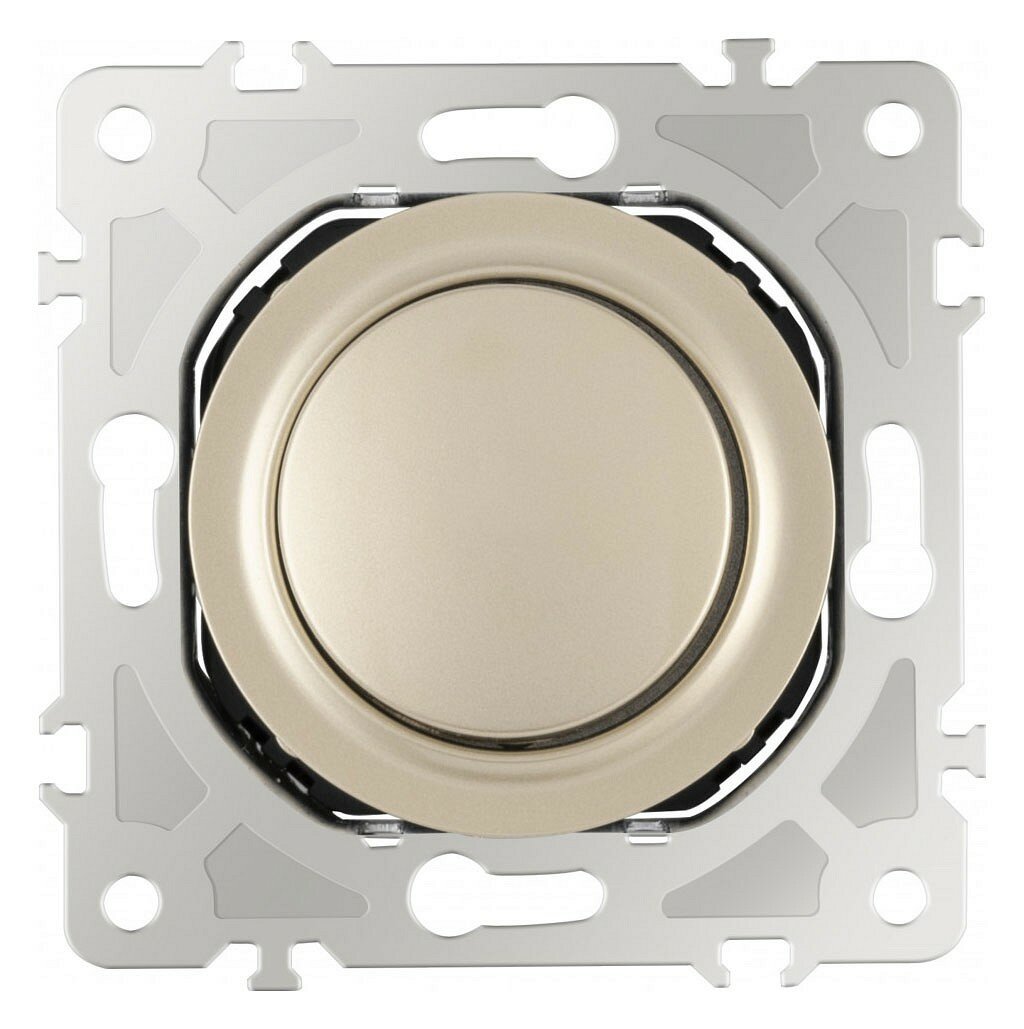 Диммер без рамки Arte Milano 202 202.48-1. shampan