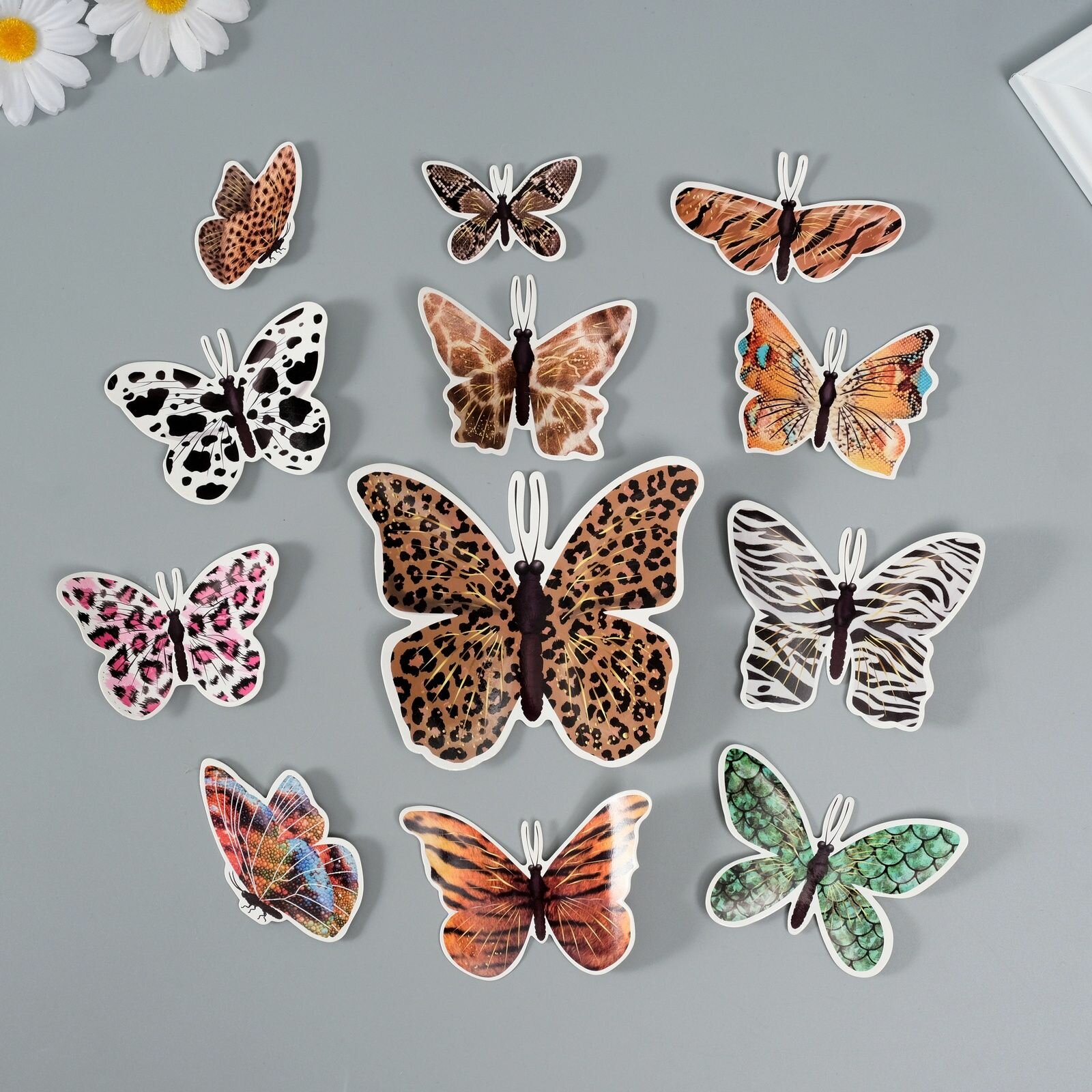 Набор декора на магните "Бабочки Шкуры животных" набор 12 шт