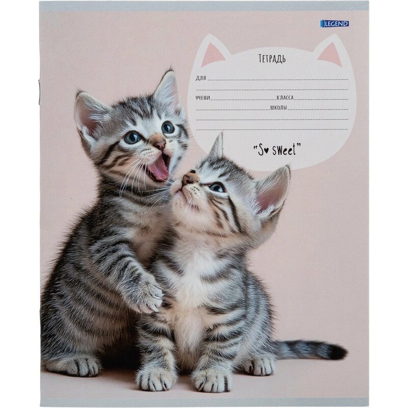 Тетрадь коса линия 12 л. Милые парочки котиков, ассорти, 12-4159