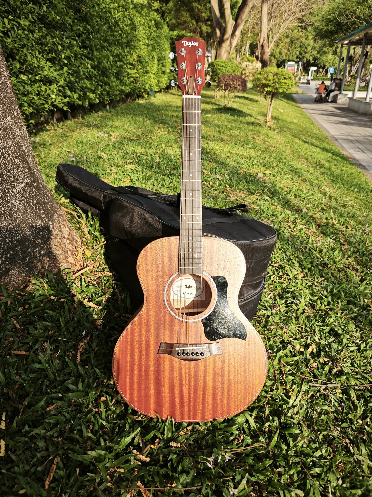 36-дюймовая дорожная гитара Taylor GS MINI folk GUITAR из материала красного дерева