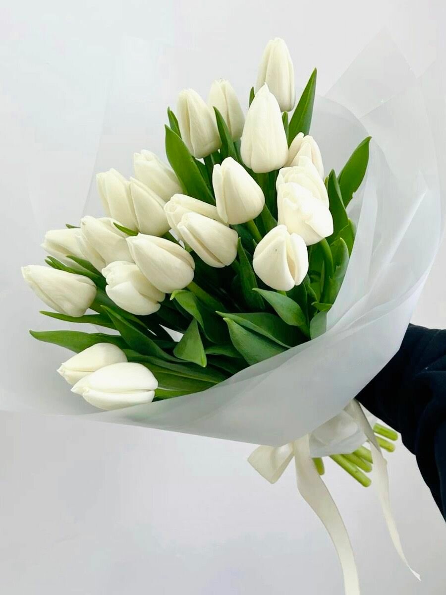 Букет DIVAFLORA белые тюльпаны монобукет,25 тюльпанов, высота 50 см