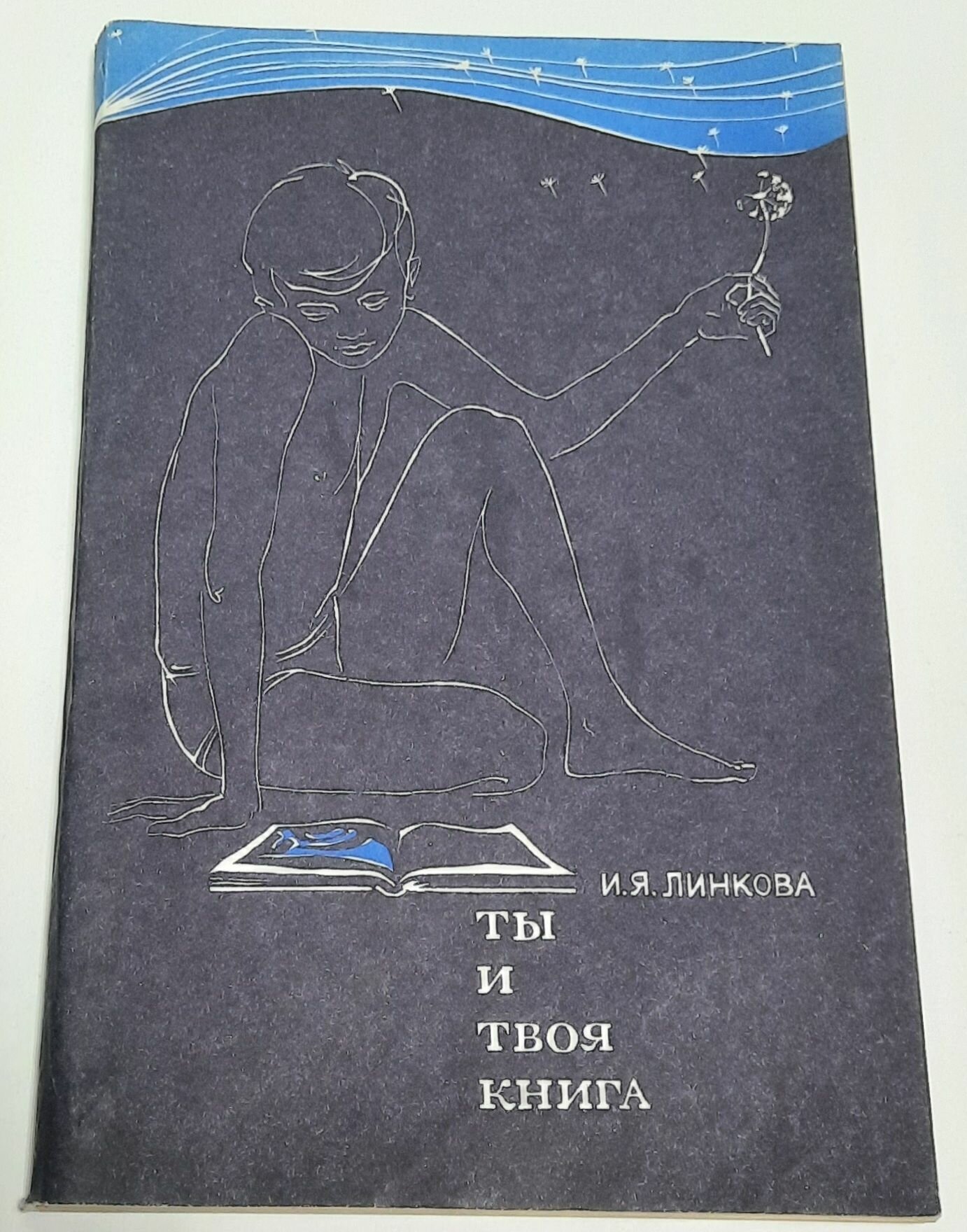 Ты и твоя книга