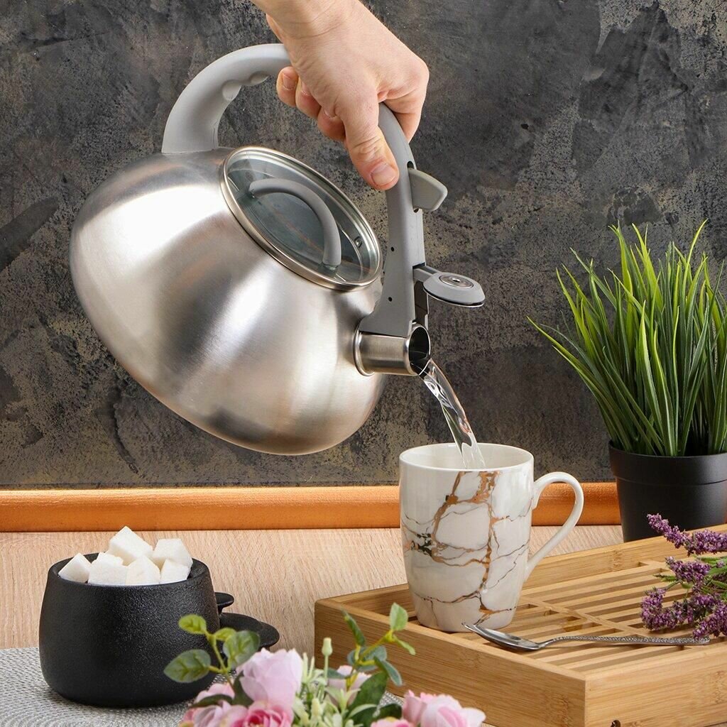 Чайник DANIKS из нержавеющей стали, 3 л, со свистком, матовый, с меняющим цвет логотипом, с ручкой с силиконовым покрытием