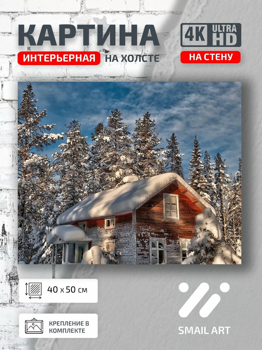Картина на холсте интерьерная 40 на 50 на стену Снег house для спальни пейзаж интерьер