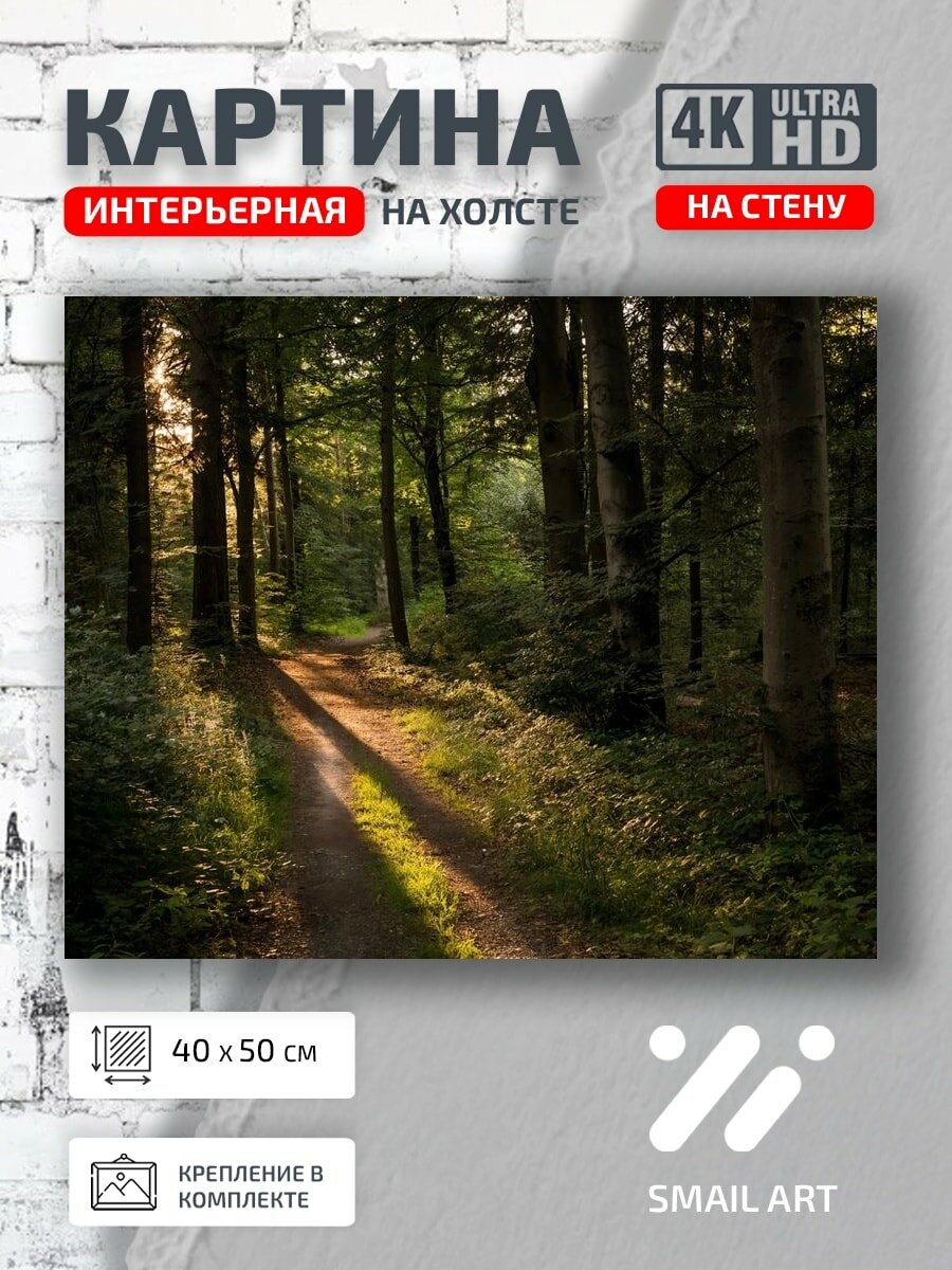 Картина на холсте интерьерная 40 на 50 на стену Природа лес для кафе пейзаж