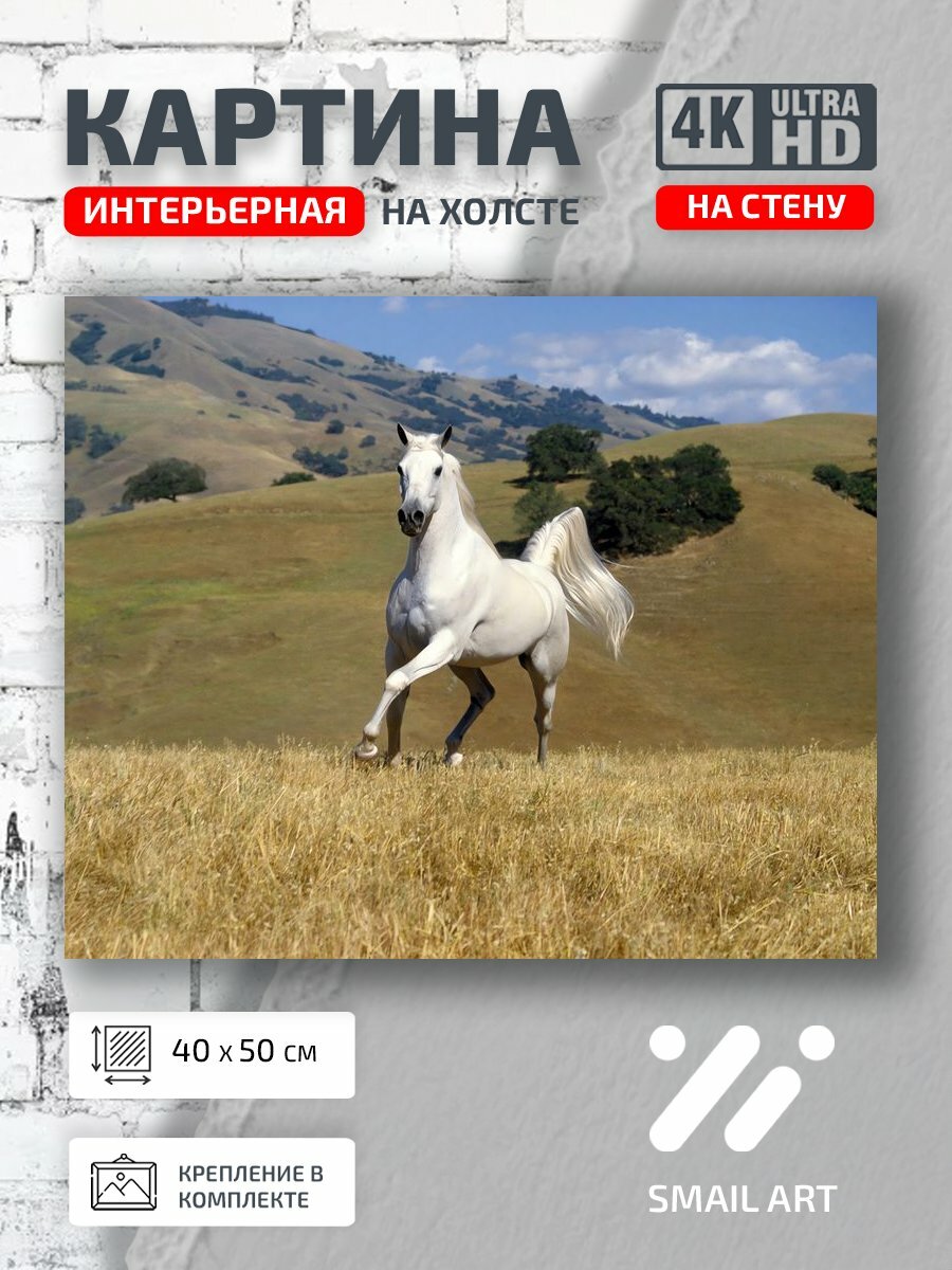 Картина на холсте интерьерная 40 на 50 на стену Лошадь Animal для гостиной animal style