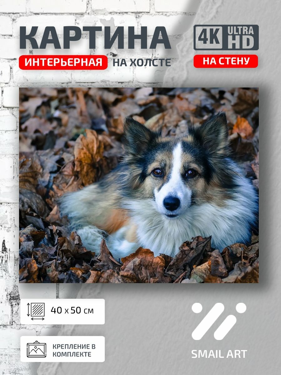 Картина на холсте интерьерная 40 на 50 на стену Осень Landscape для кабинета пейзаж декор