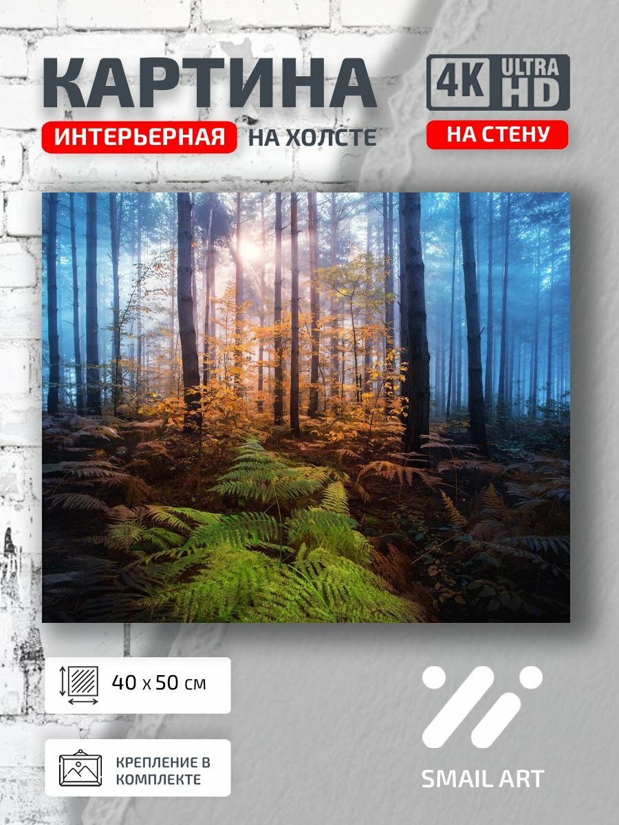Картина на холсте интерьерная 40 на 50 на стену Солнце Landscape для кабинета пейзаж декор