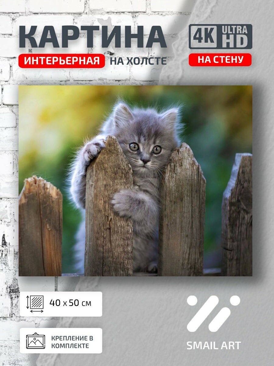 Картина на холсте интерьерная 40 на 50 на стену Животные котёнок для кабинета атмосфера