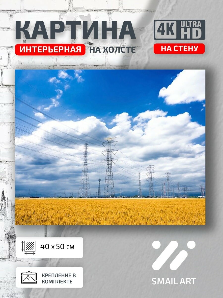 Картина на холсте интерьерная 40 на 50 на стену Пейзаж поле для спальни атмосфера