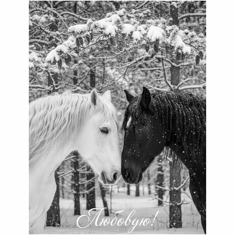 Полотенце "Год Лошади", 1/3 шт, кухонное полотенце с анималистичным принтом