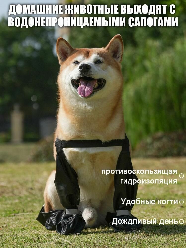 Одежда для домашних животных, водонепроницаемая обувь для собак