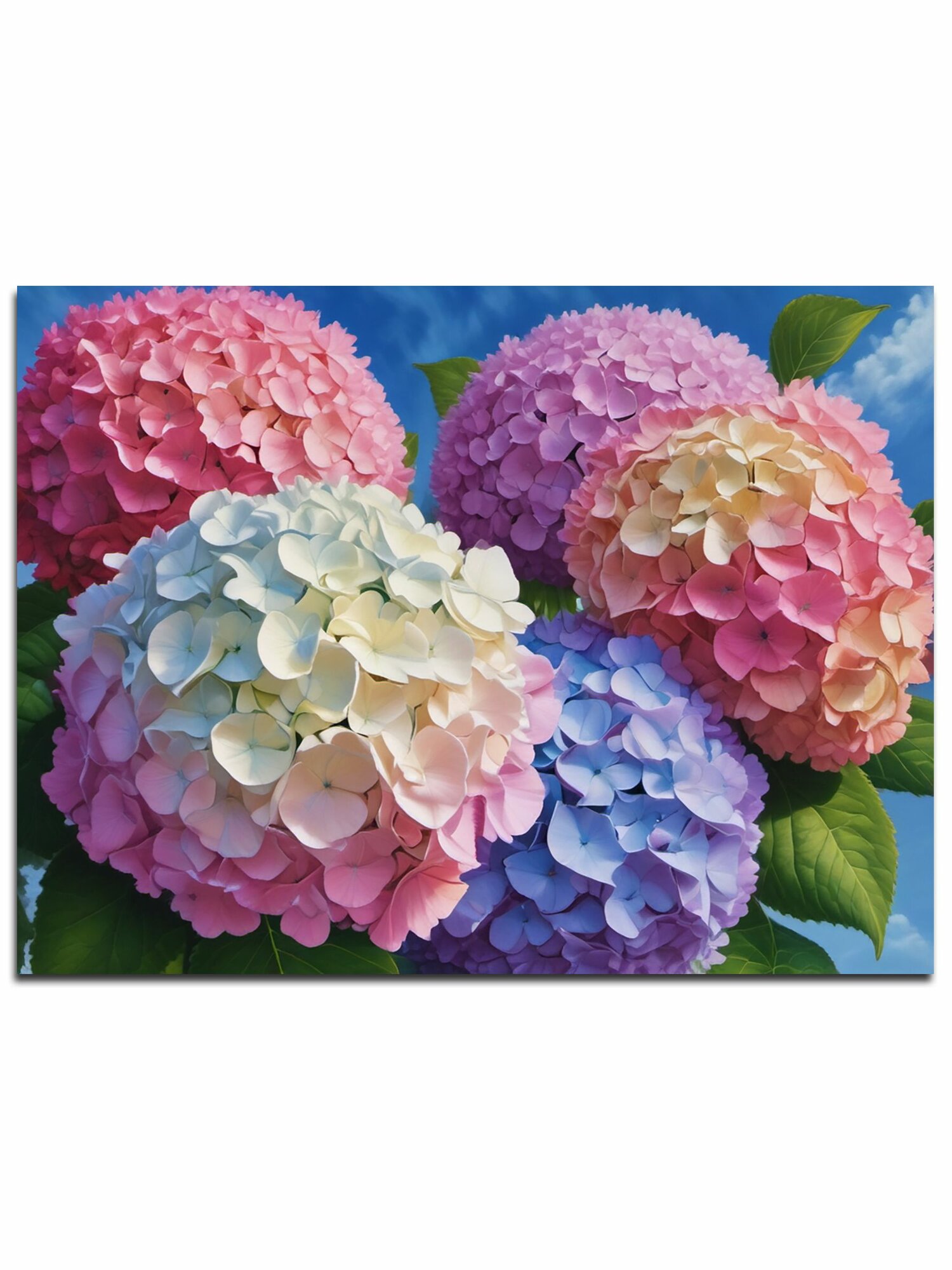 DIY картины по номерам 40х50/без рамки/Многоцветные узоры гортензии