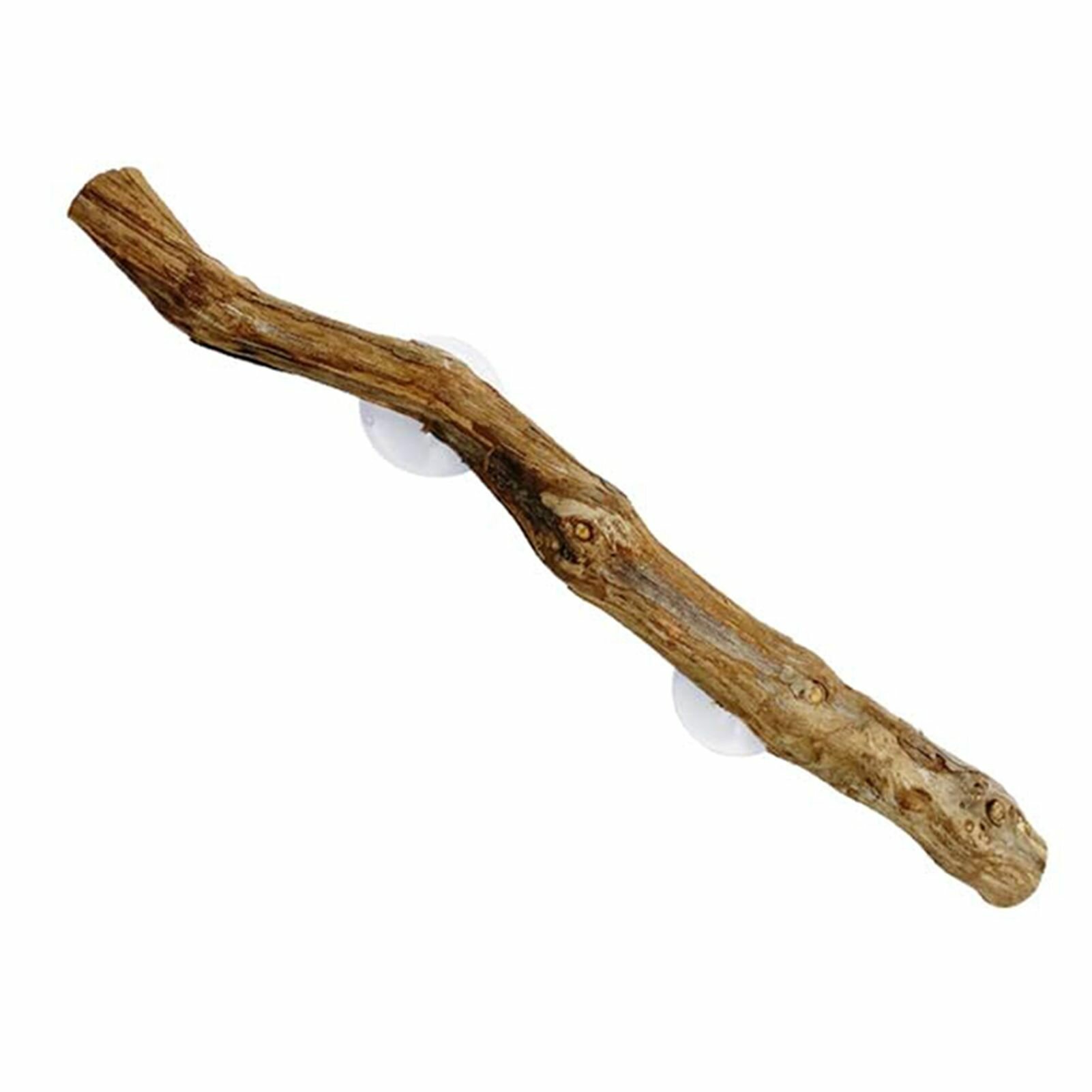 Ветка Для Взбирания Змей