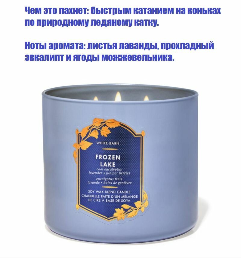 Bath and Body Works свеча ароматическая с 3-мя фитилями Frozen Lake (411 грамм)
