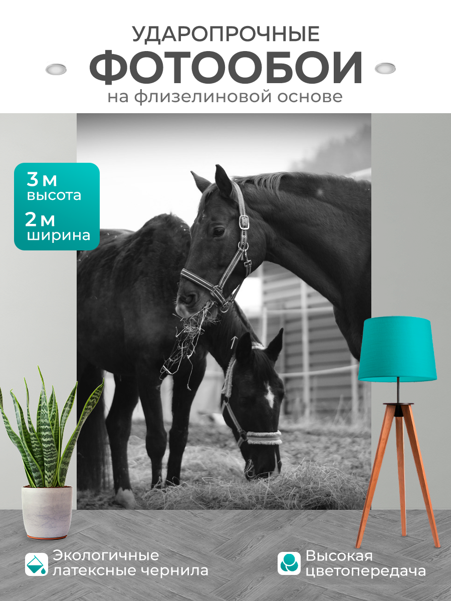 Фотообои моющиеся ударопрочные "Лошадь, пастбище, лошадиная голова" 200x300 см. флизелиновые на стену